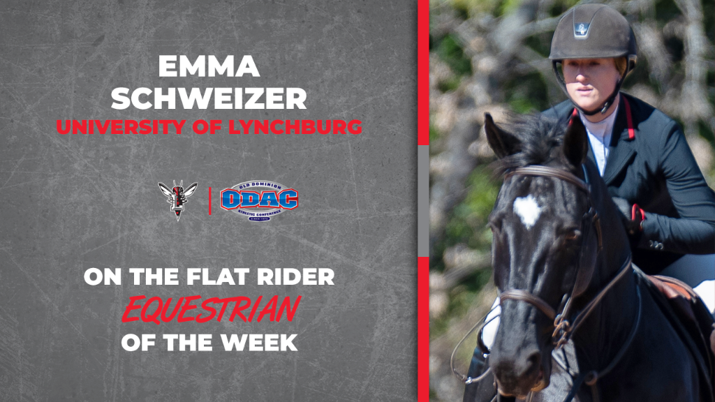 ODAC Football Report: Week 10 - Old Dominion Athletic Conference